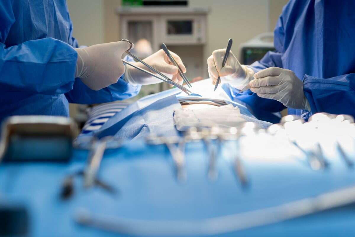Israel performs world’s first ‘artificial meniscus’ transplant – www ...