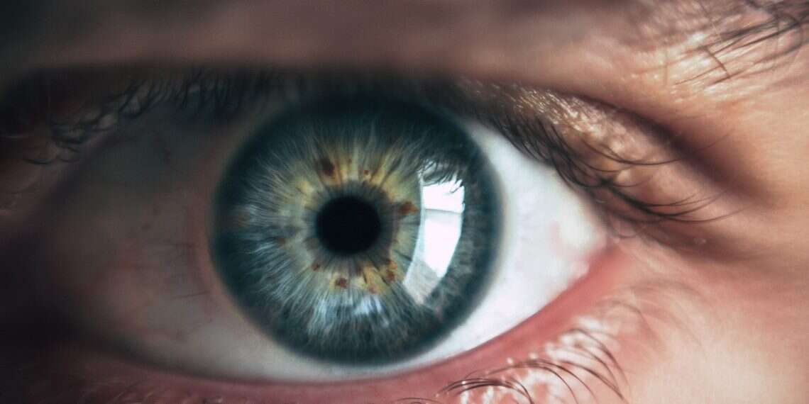 Israel’s EyeYon Medical raises $25M for corneal implant – www ...