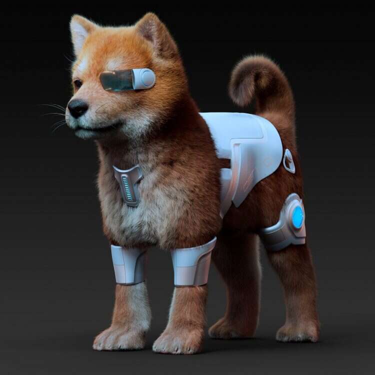 Companionship for the metaverse: Israeli startup launches digital dogs ...