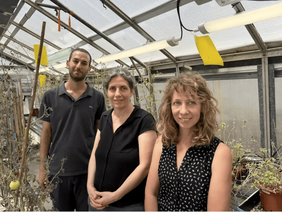 The bug whisperer: Israeli scientists decode nature's hidden language
